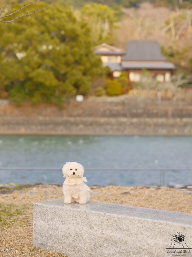 Explore Uji - the hometown of Matcha. – Travel with Minh