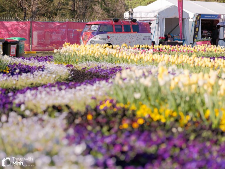 Discover Floriade – Australia’s Most Vibrant Flower Festival
