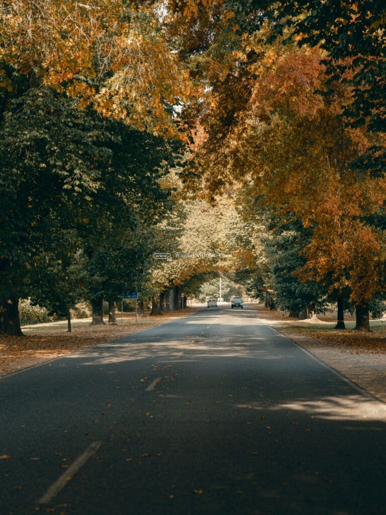 Bright – Victoria’s most stunning autumn escape in Australia.
