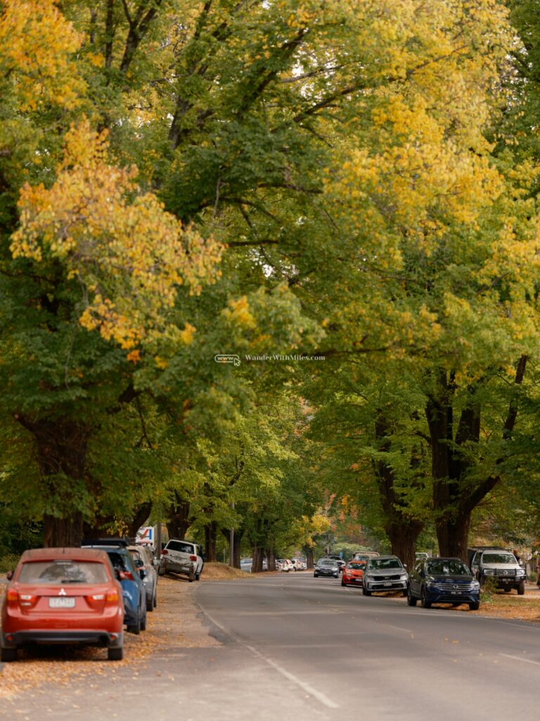 Bright – Victoria’s most stunning autumn escape in Australia.