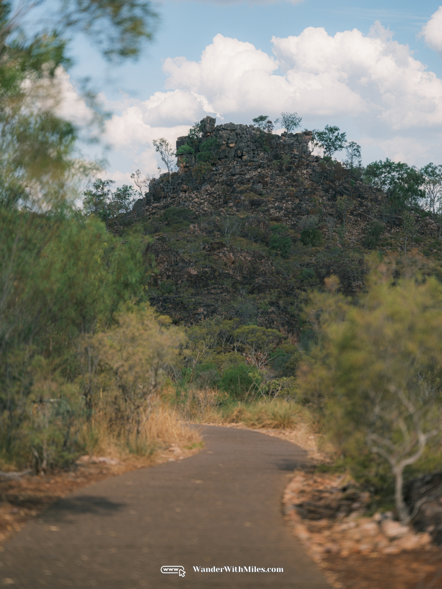 Litchfield National Park Day Trip Itinerary from Darwin