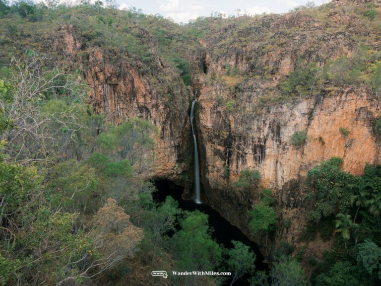 Litchfield National Park Day Trip Itinerary from Darwin