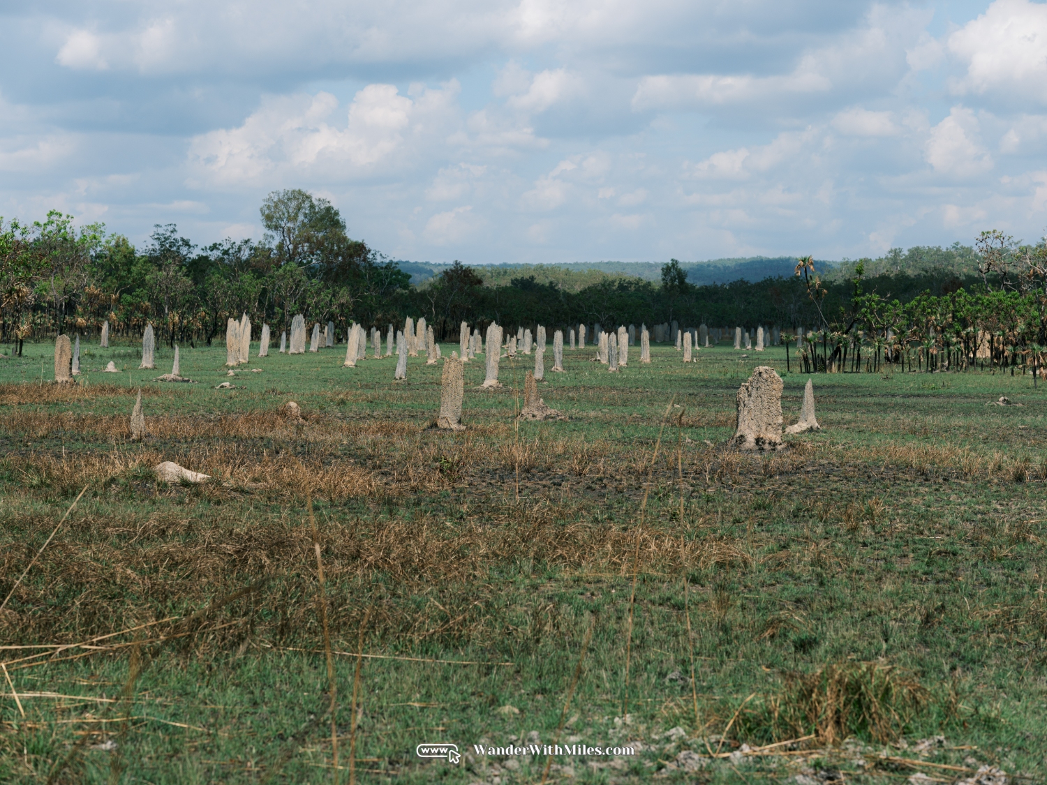 Litchfield National Park Day Trip Itinerary from Darwin