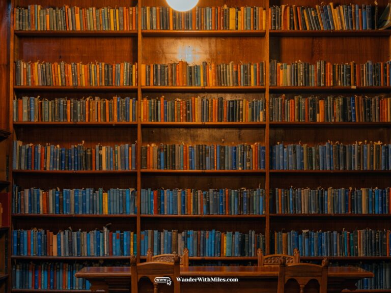 The State Library of South Australia – Australia’s Most Beautiful Library