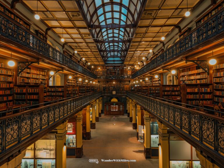 State Library of South Australia - The most beautiful library in Australia